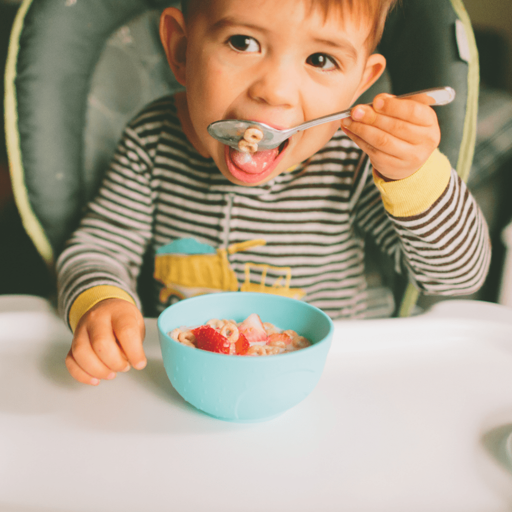 How To Implement A Toddler Feeding Schedule - My Little Eater