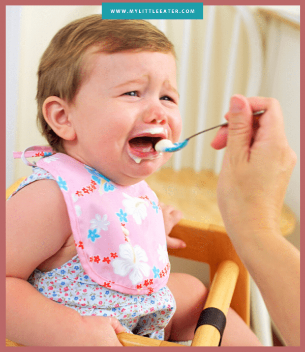 #9: The ONE Feeding Strategy that will Change Mealtimes Forever - My ...