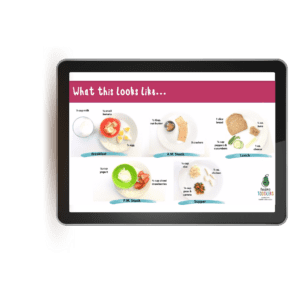 Feeding Toddlers Online Course