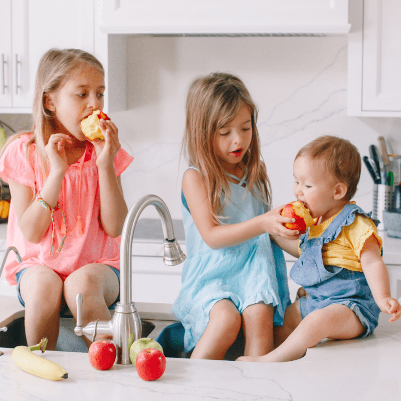 The best snack guide: make easy and healthy toddler snacks for 1 year ...
