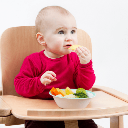 The best snack guide: make easy and healthy toddler snacks for 1 year ...