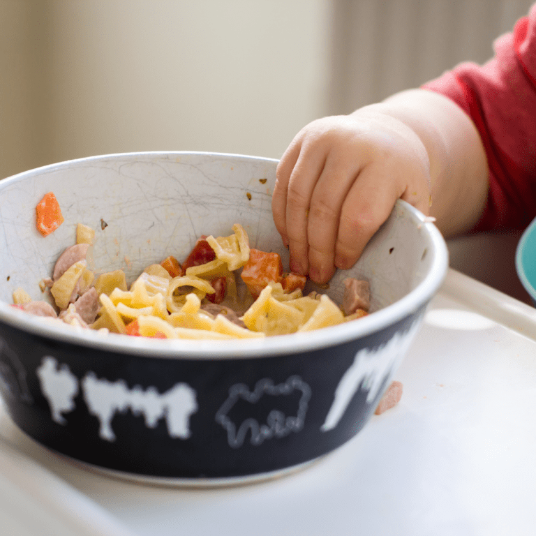 2024 guide for introducing solids to baby - My Little Eater