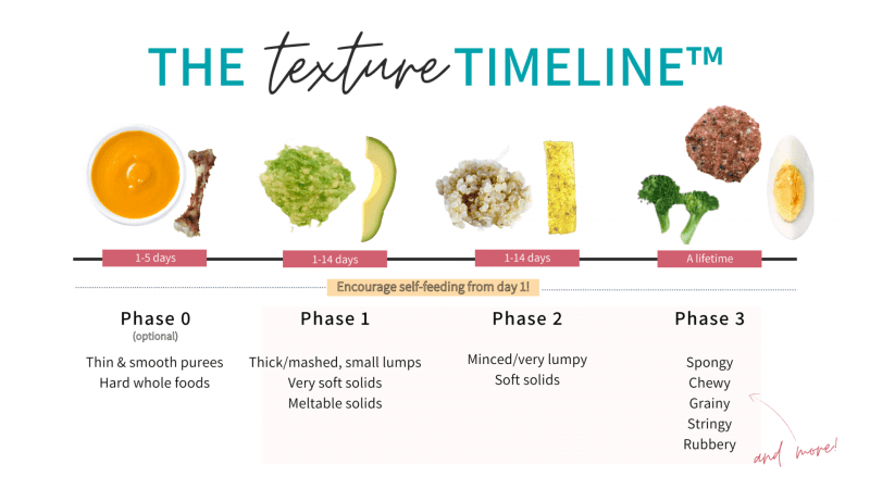 How to move your baby from purées to finger foods with the Texture Timeline™ - My Little Eater