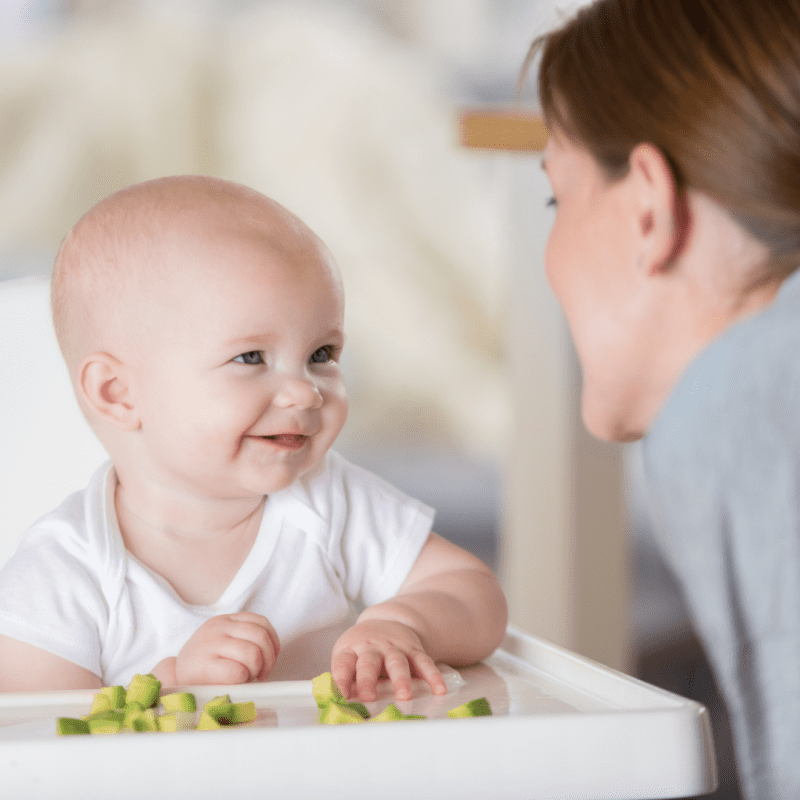 Top tips for how to do BLW for beginners successfully - My Little Eater