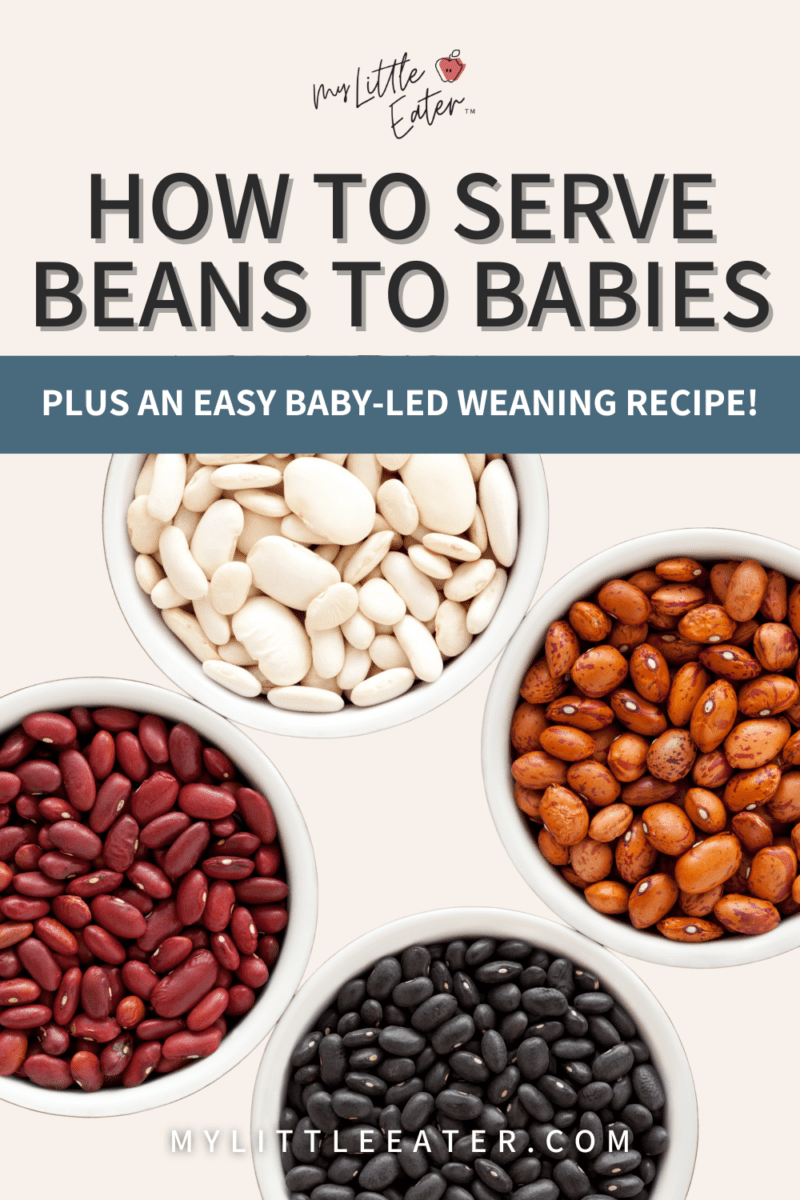 Beans for baby: how to serve them and an easy BLW recipe - My Little Eater