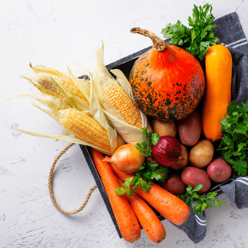 Top 10 fall foods for babies (including the best BLW pumpkin recipe ...