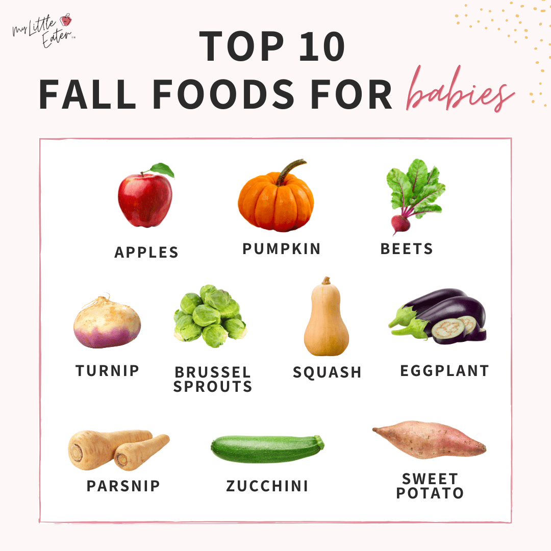 Top 10 fall foods for babies (including the best BLW pumpkin recipe ...