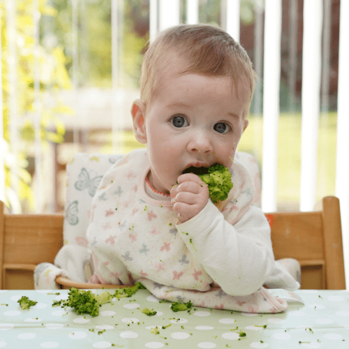 Baby won't eat solids: proven tips to get them more interested in food ...