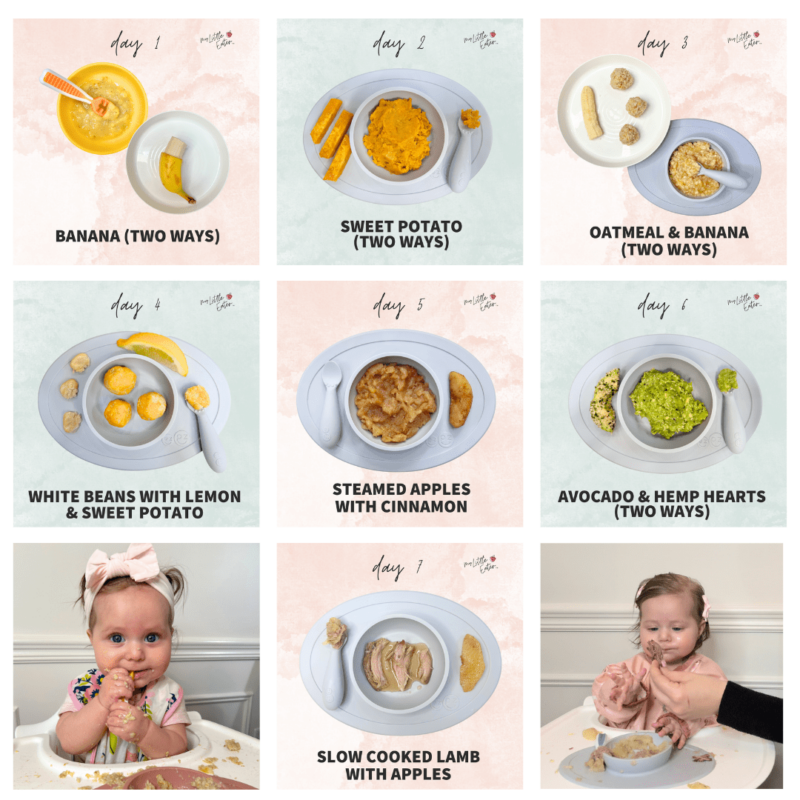 Baby Led Feeding Online Course for Starting Solids