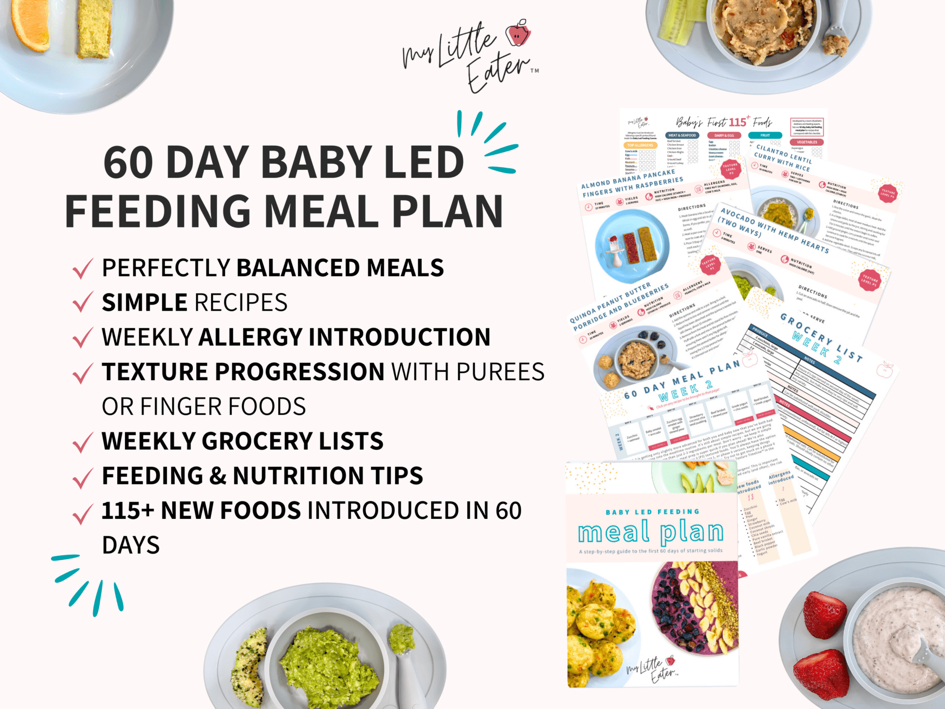 Starting Solids Workshop Checkout