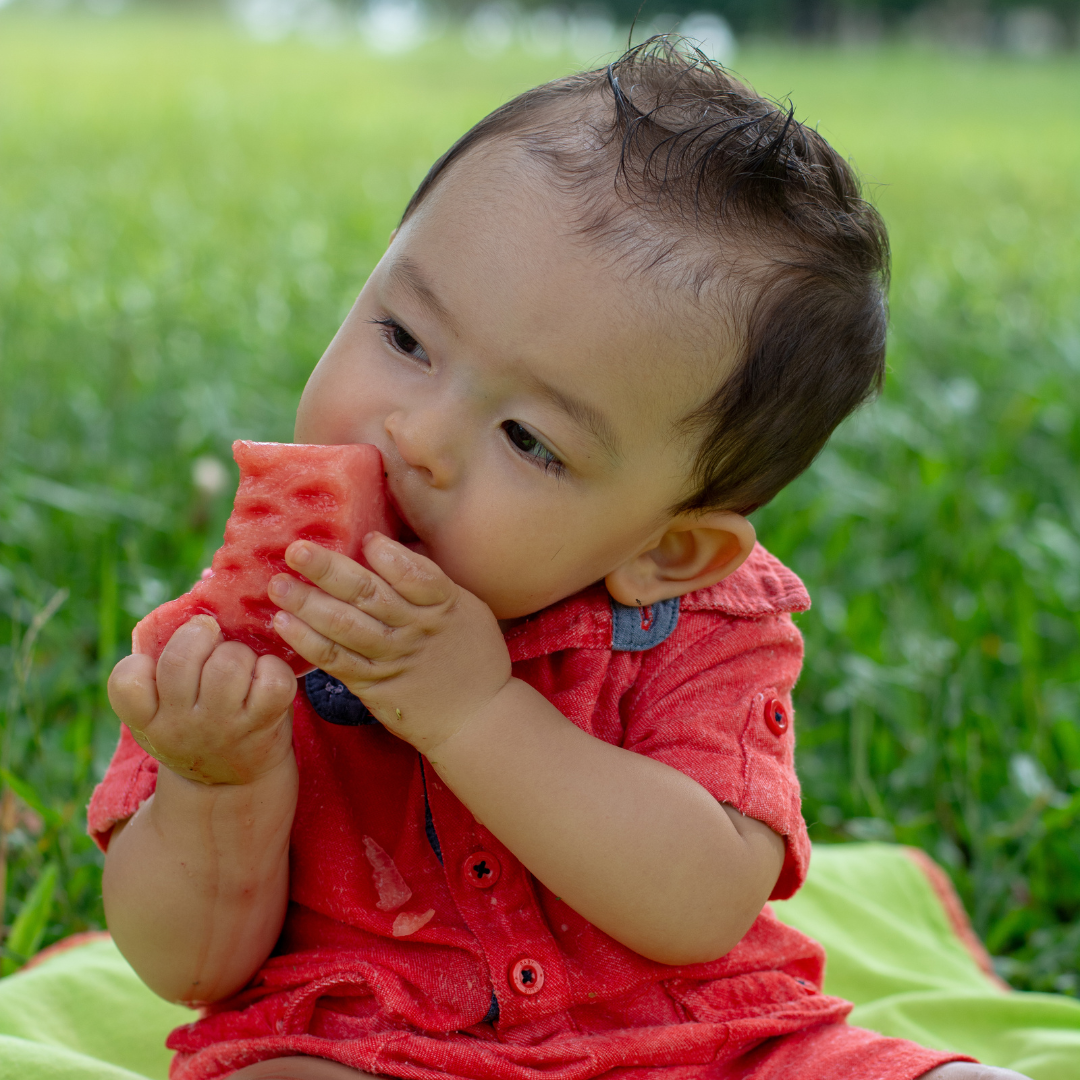 Watermelon for babies: serving it safely & the best watermelon popsicle ...