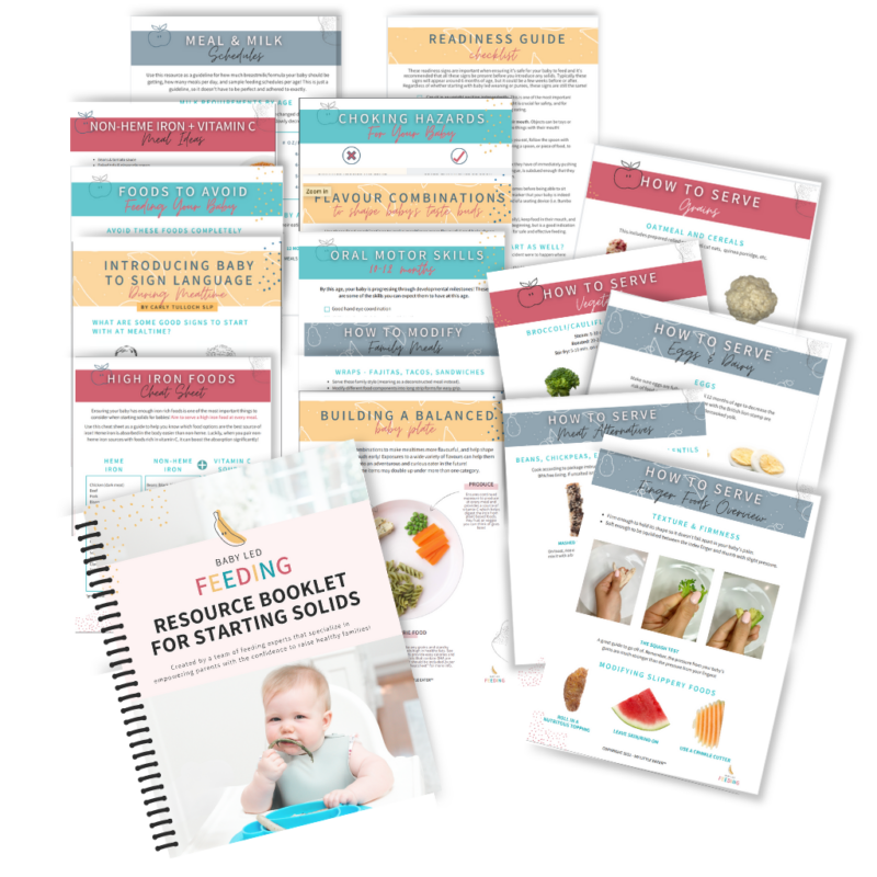 Starting Solids Workshop Checkout