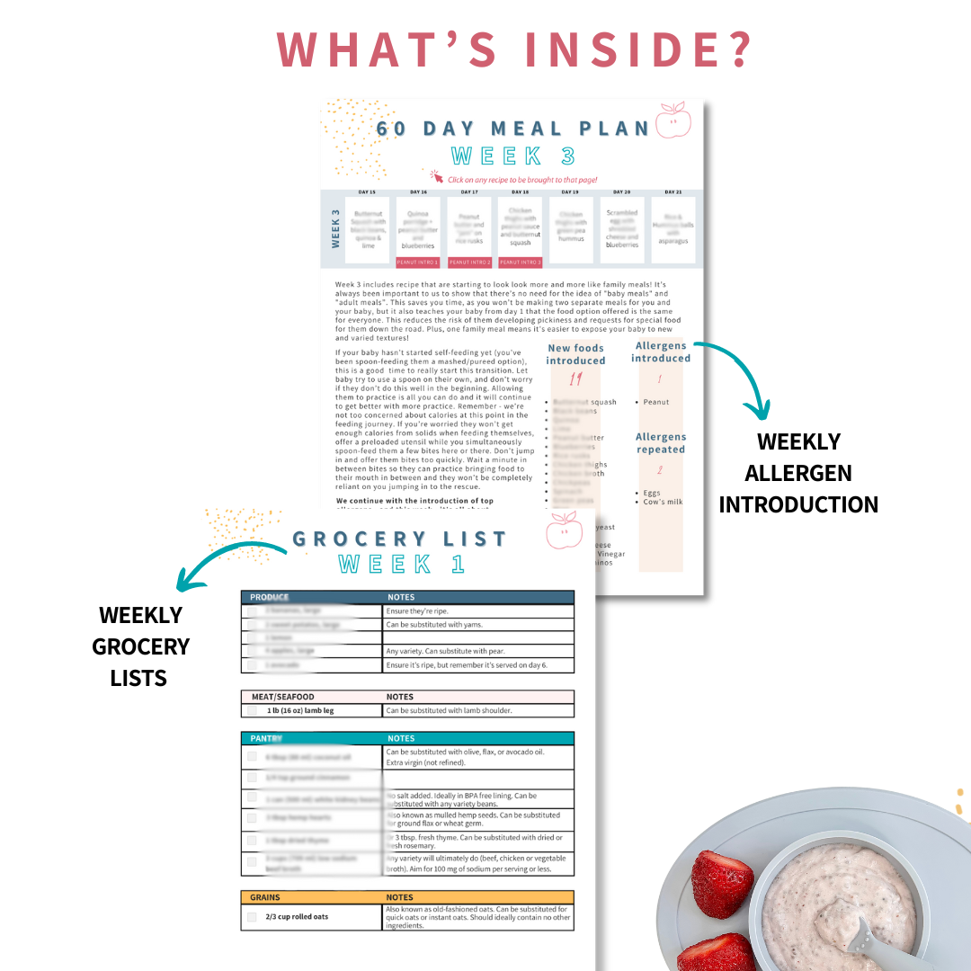 Starting Solids Workshop Checkout