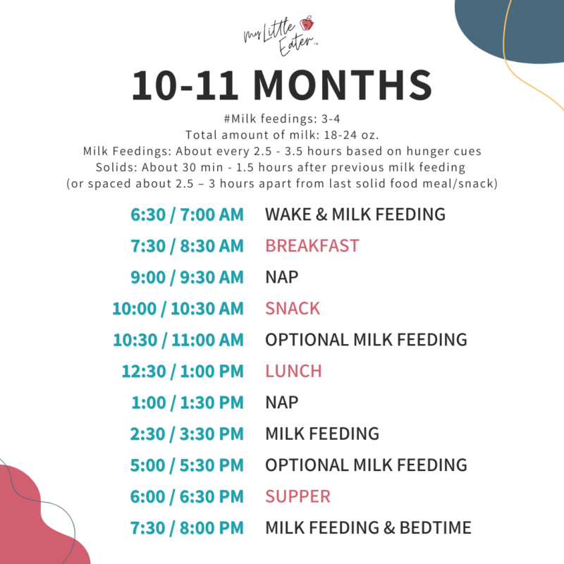 How to set up a feeding schedule for babies 6+ months old