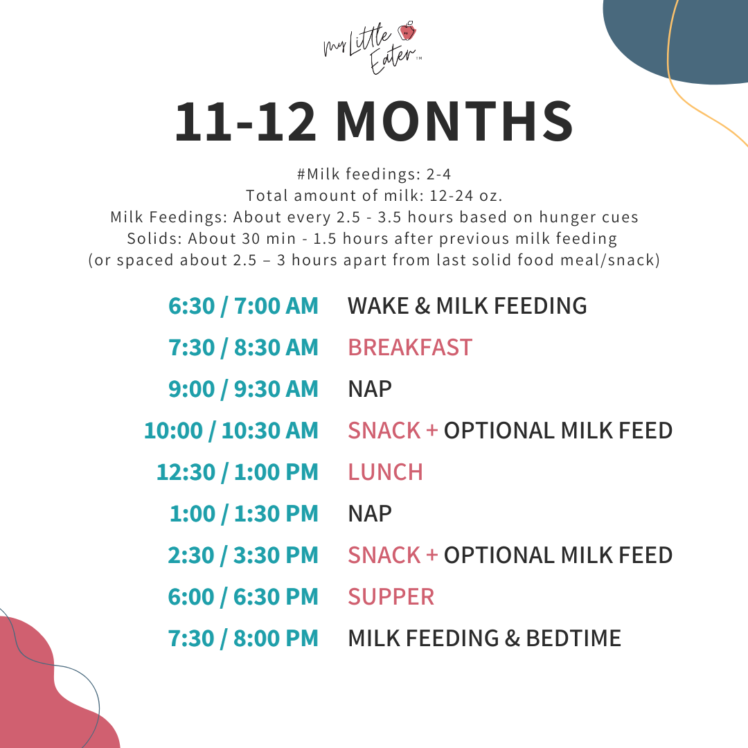 How to set up a feeding schedule for babies 6+ months old