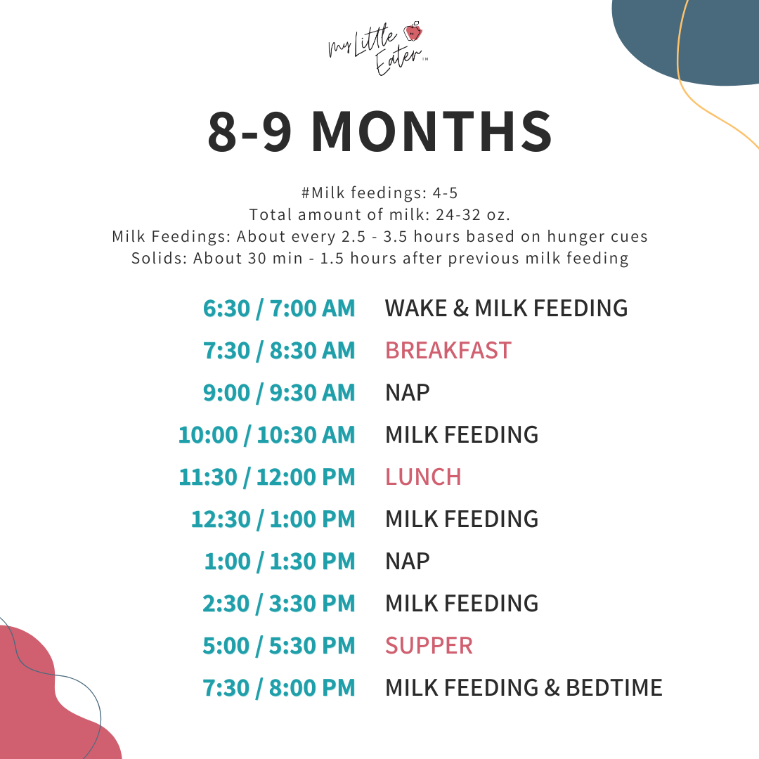 How to set up a feeding schedule for babies 6+ months old