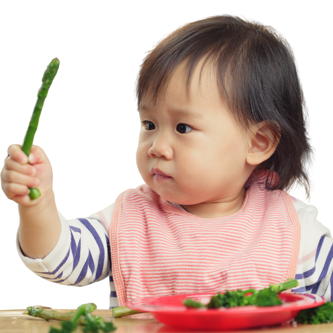Asparagus for babies: how to serve it safely from 6 months+ - My Little ...