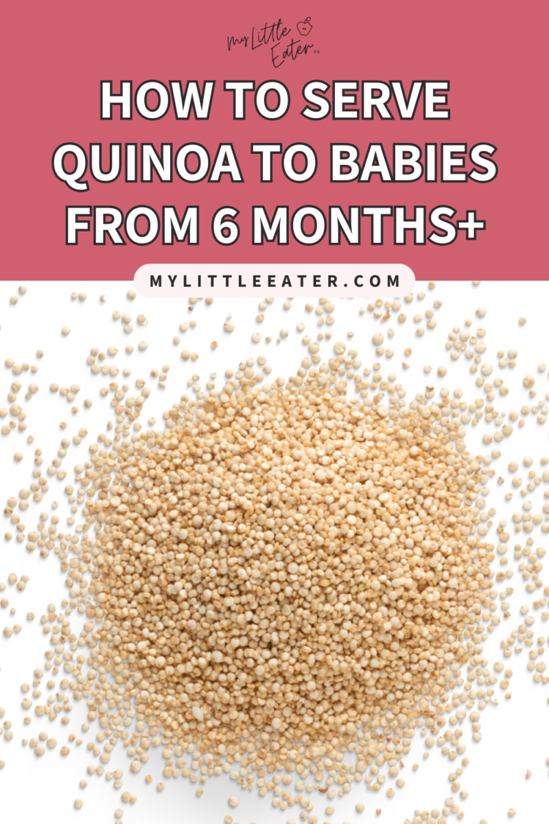 Quinoa for babies: how to serve it from 6 months+ - My Little Eater
