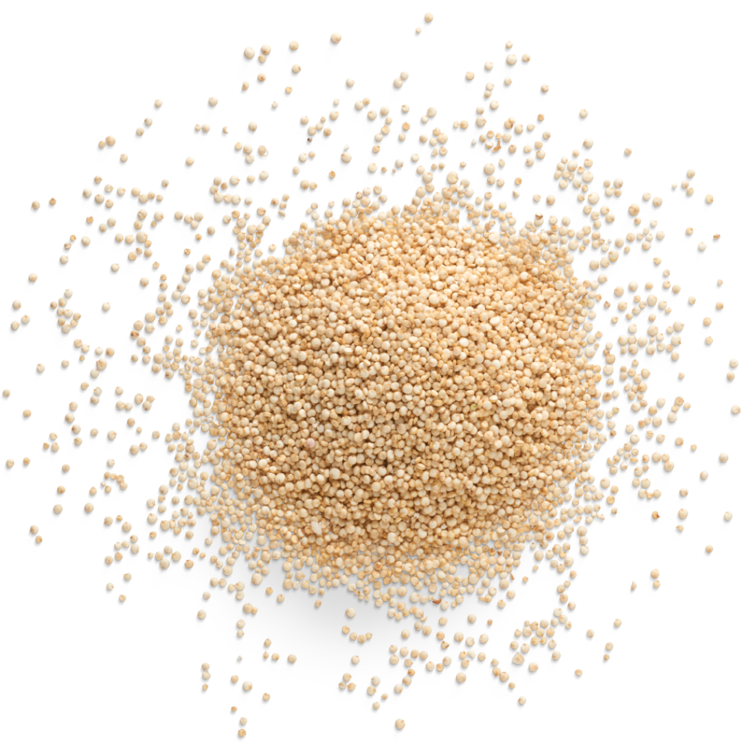 Quinoa for babies: how to serve it from 6 months+ - My Little Eater