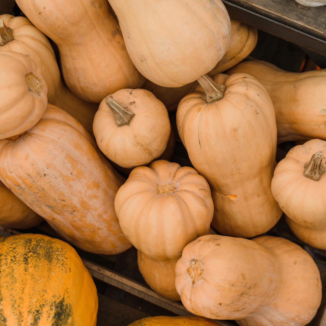 Butternut squash for babies: nutritional benefits & the best puree recipe