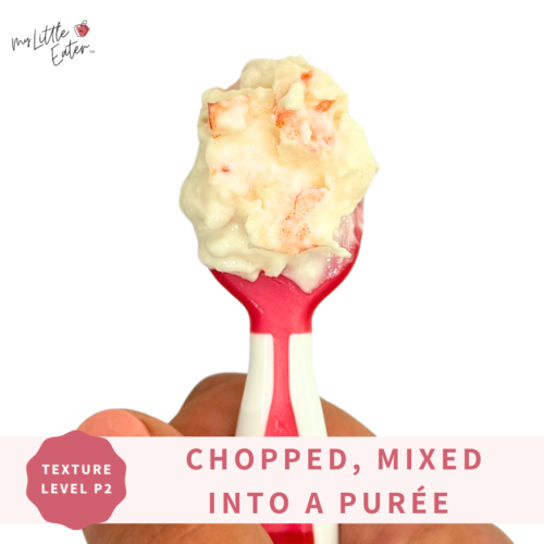 Shellfish for babies: how to introduce it safely from 6 months+ - My ...