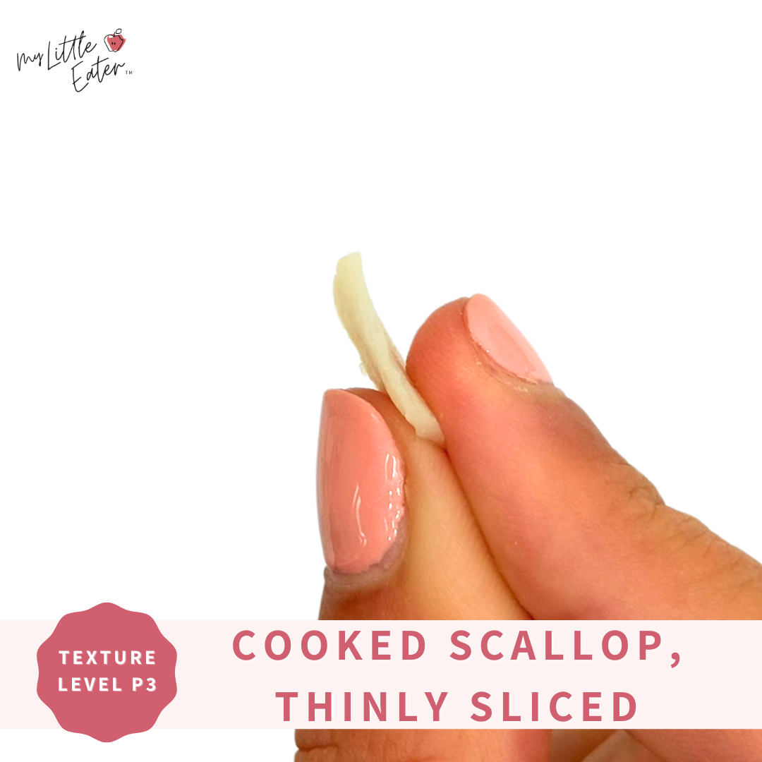 Shellfish for babies: how to introduce it safely from 6 months+ - My ...