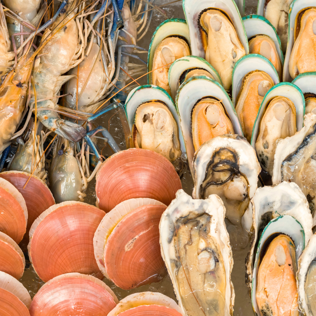 Shellfish for babies: how to introduce it safely from 6 months+ - My ...