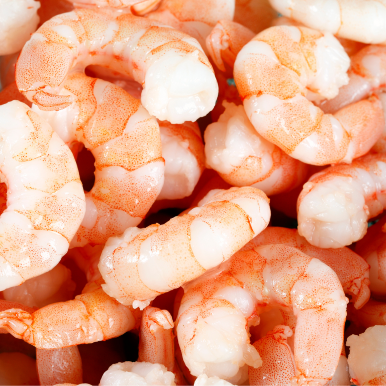 Shellfish for babies: how to introduce it safely from 6 months+ - My ...