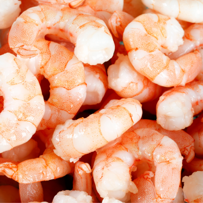 Shellfish for babies: how to introduce it safely from 6 months+ - My ...