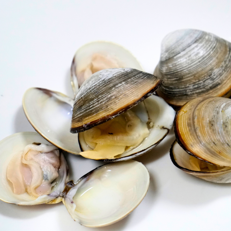 Shellfish for babies: how to introduce it safely from 6 months+ - My ...