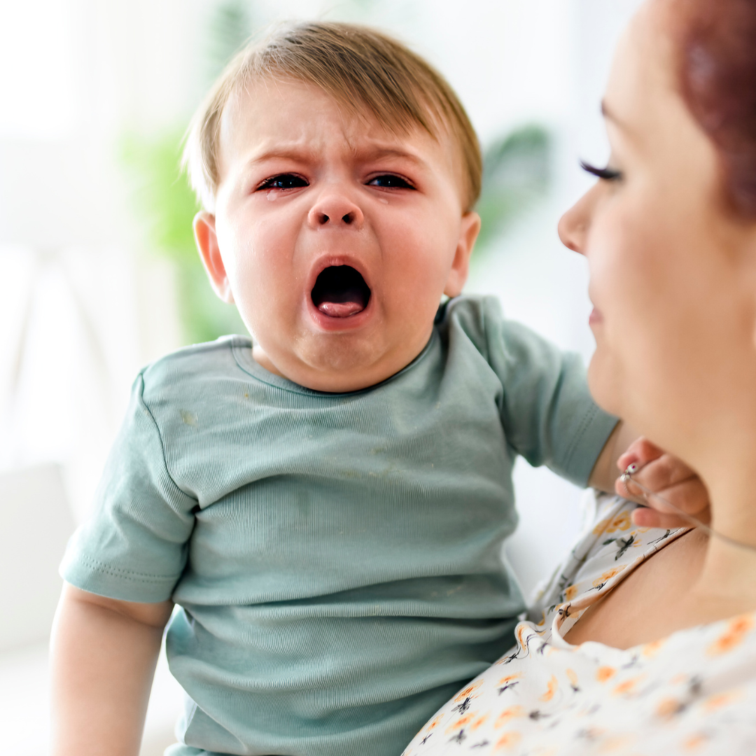 Shellfish for babies: how to introduce it safely from 6 months+ - My ...