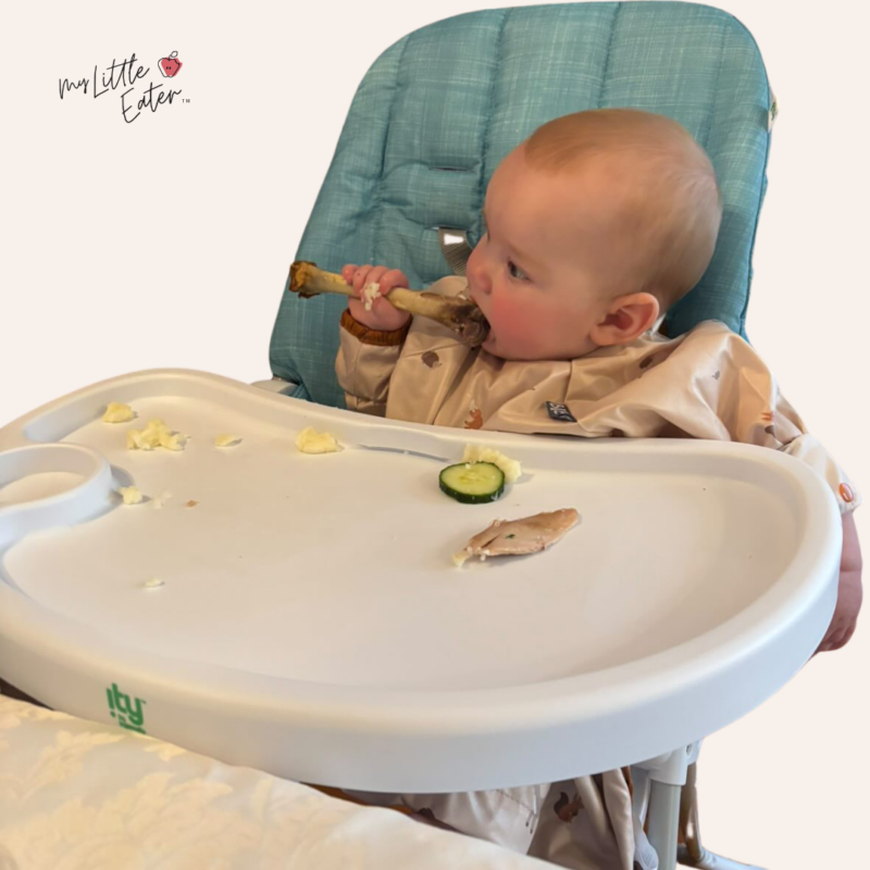 Turkey for babies: how to serve fresh & ground turkey from 6 months+