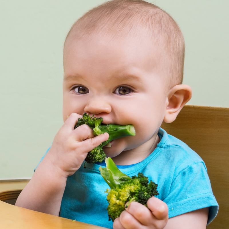 How to teach baby to chew and swallow safely - My Little Eater