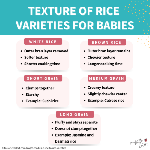 Rice for babies: how to serve it safely from 6 months+ - My Little Eater