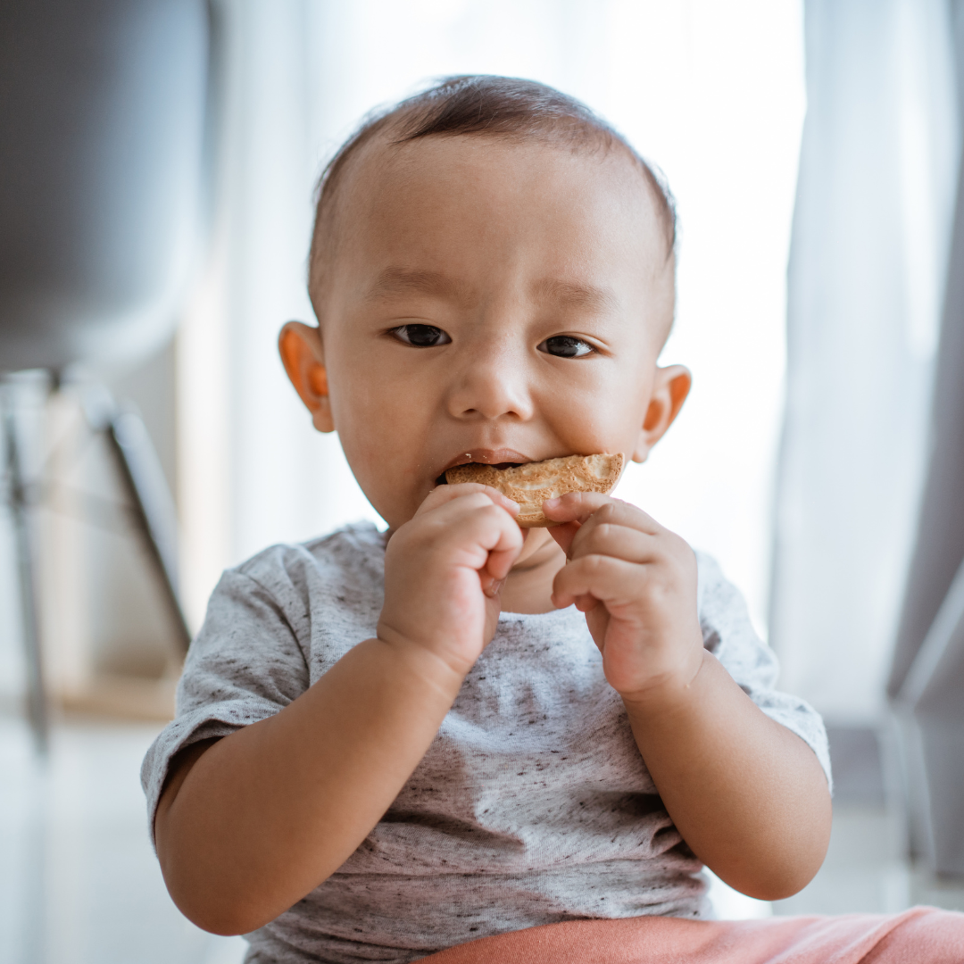 How to teach baby to chew and swallow safely - My Little Eater