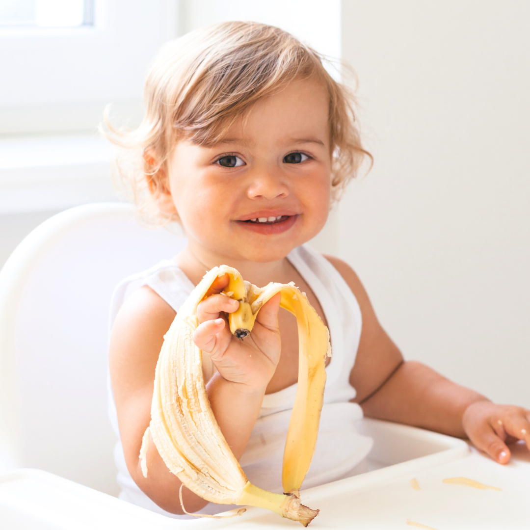 How to build a balanced plate for babies - My Little Eater
