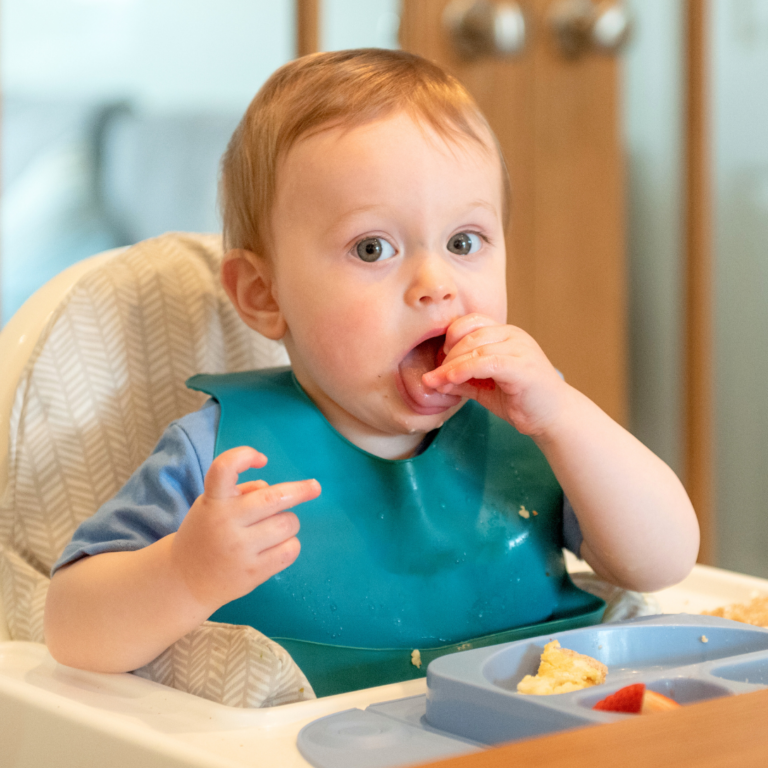 How to build a balanced plate for babies - My Little Eater