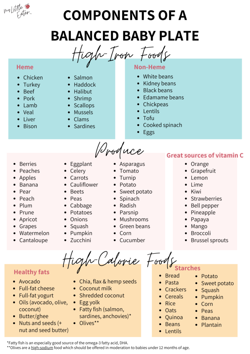 How to build a balanced plate for babies - My Little Eater