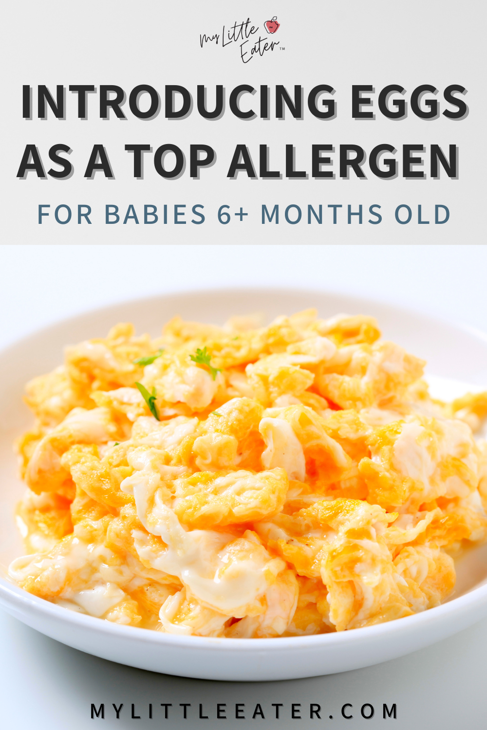 The research you need to know on introducing eggs to baby as a priority ...