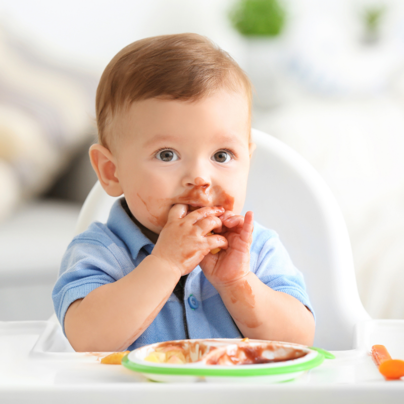 The research you need to know on introducing eggs to baby as a priority ...