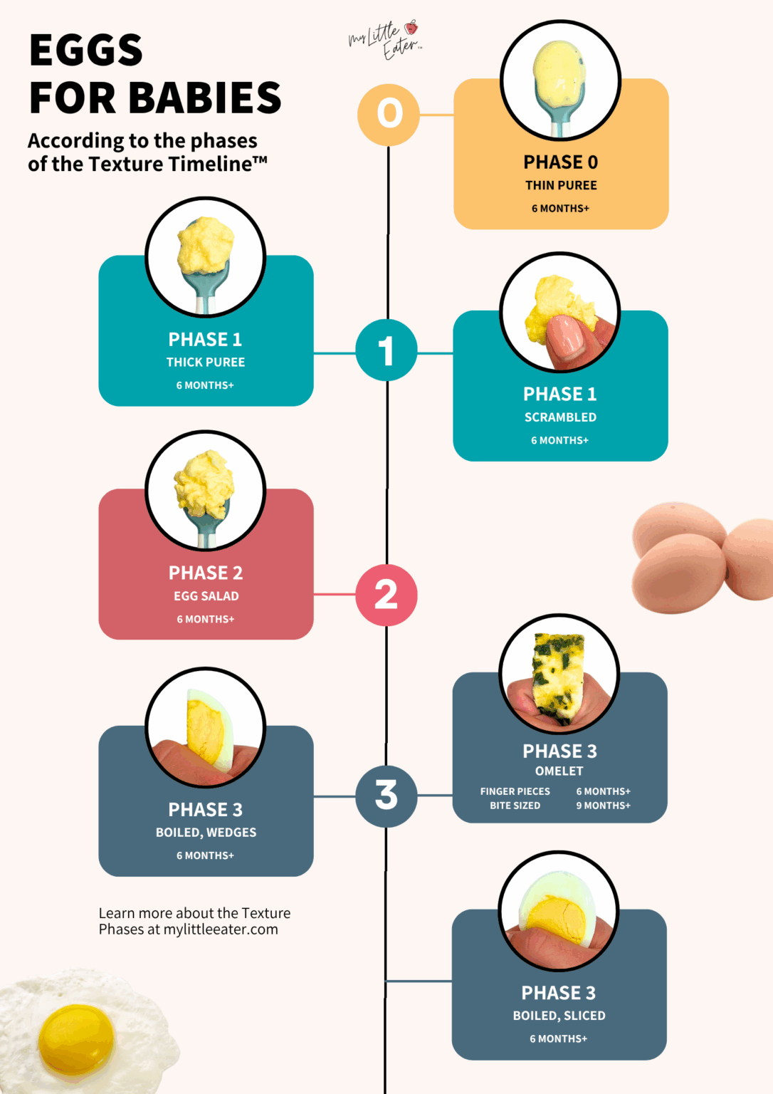 Eggs for babies: everything you need to know to serve them safely from 6M+