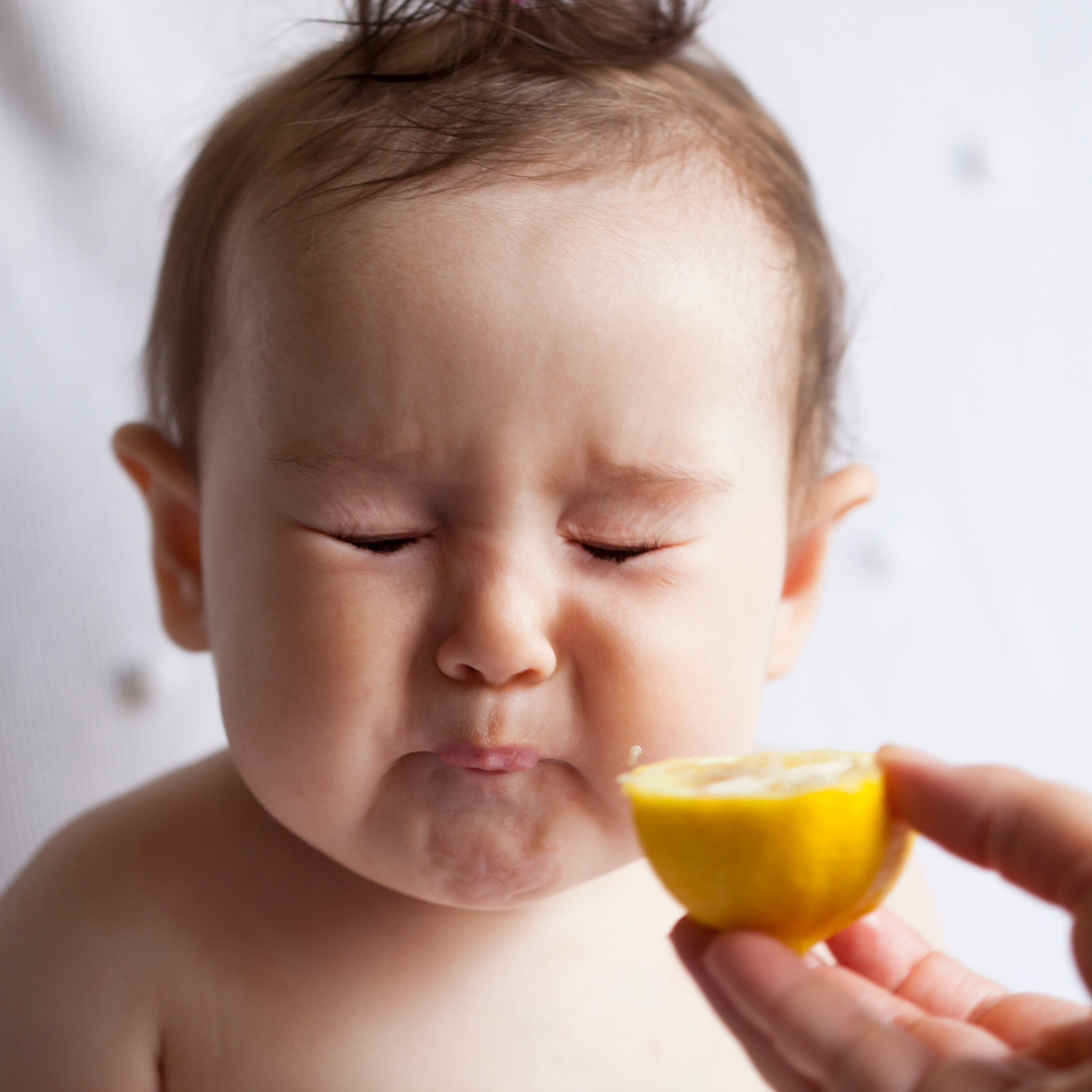 Fermented foods for babies: everything you need to know before baby's ...