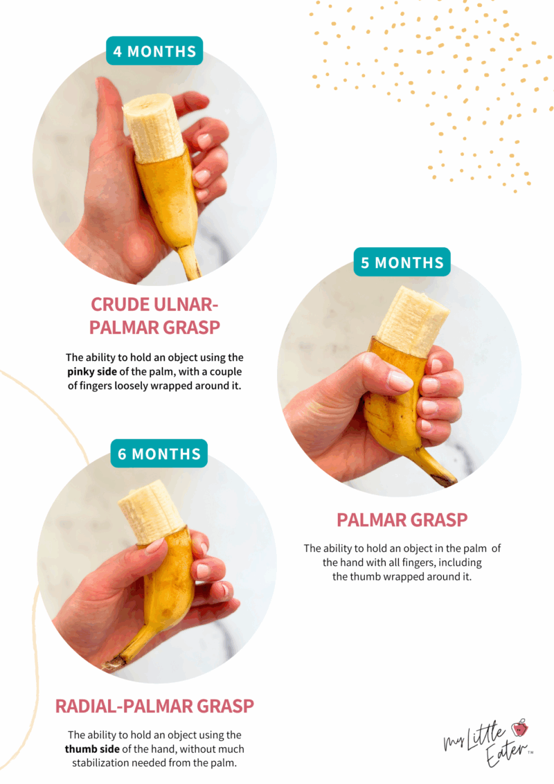 Palmar Grasp and Its Role in Starting Solids - My Little Eater