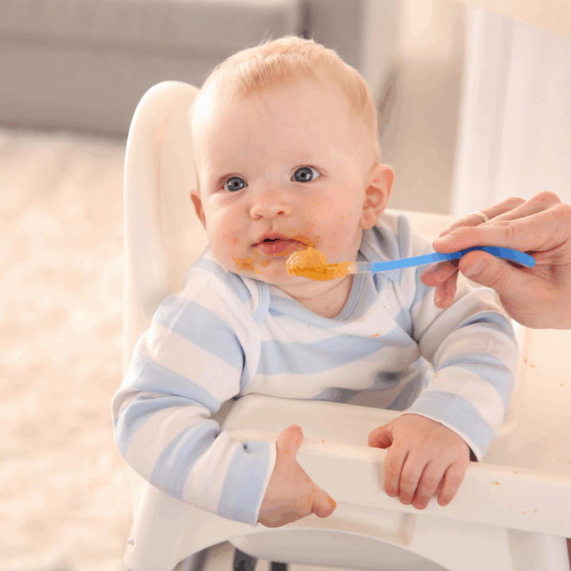 Pureed Food for Babies: A Practical Guide to spoon feeding the right ...